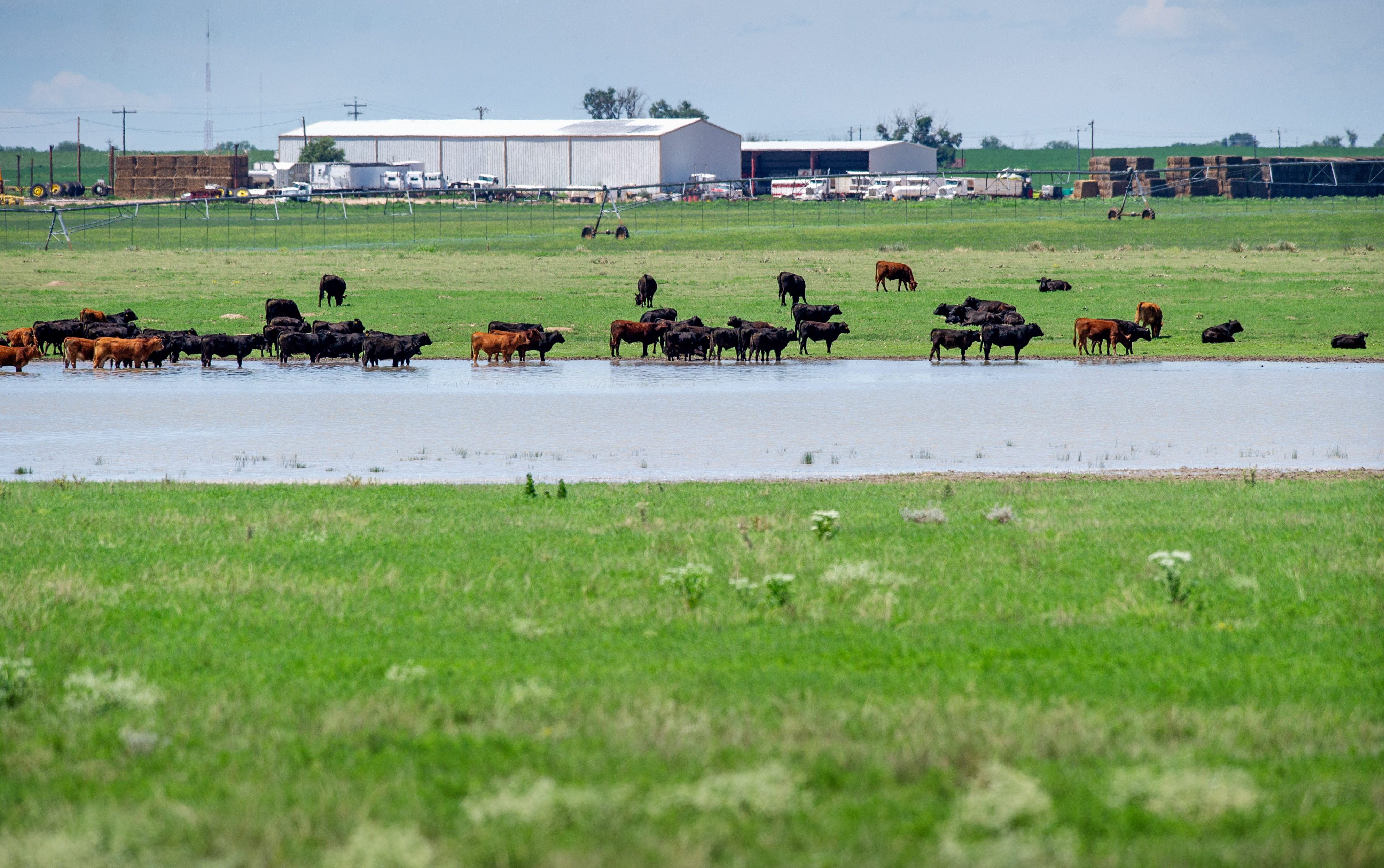 A wildfire burned 9,000 acres in April. How does it look now?